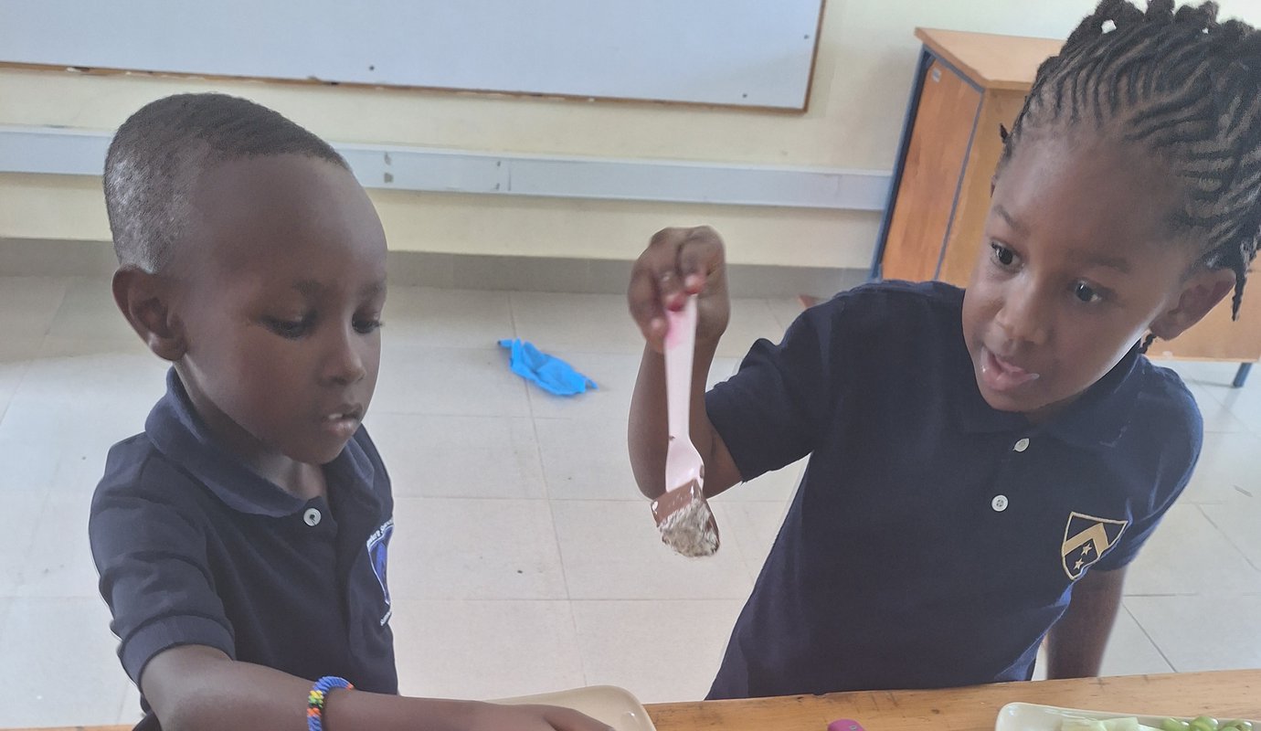 News - Braeburn Dar es Salaam International School