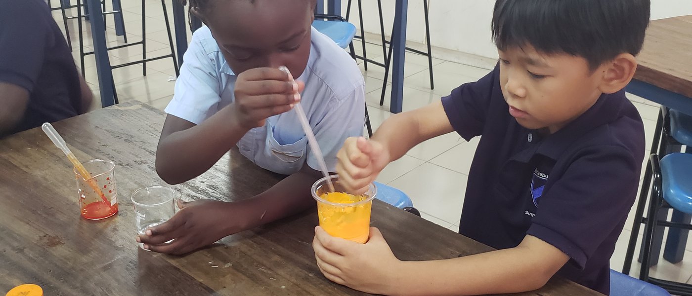 Home - Braeburn Dar es Salaam International School