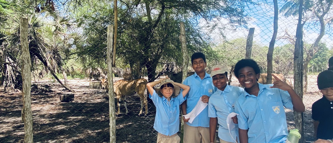A Trip to the Zoo - Braeburn Dar es Salaam International School